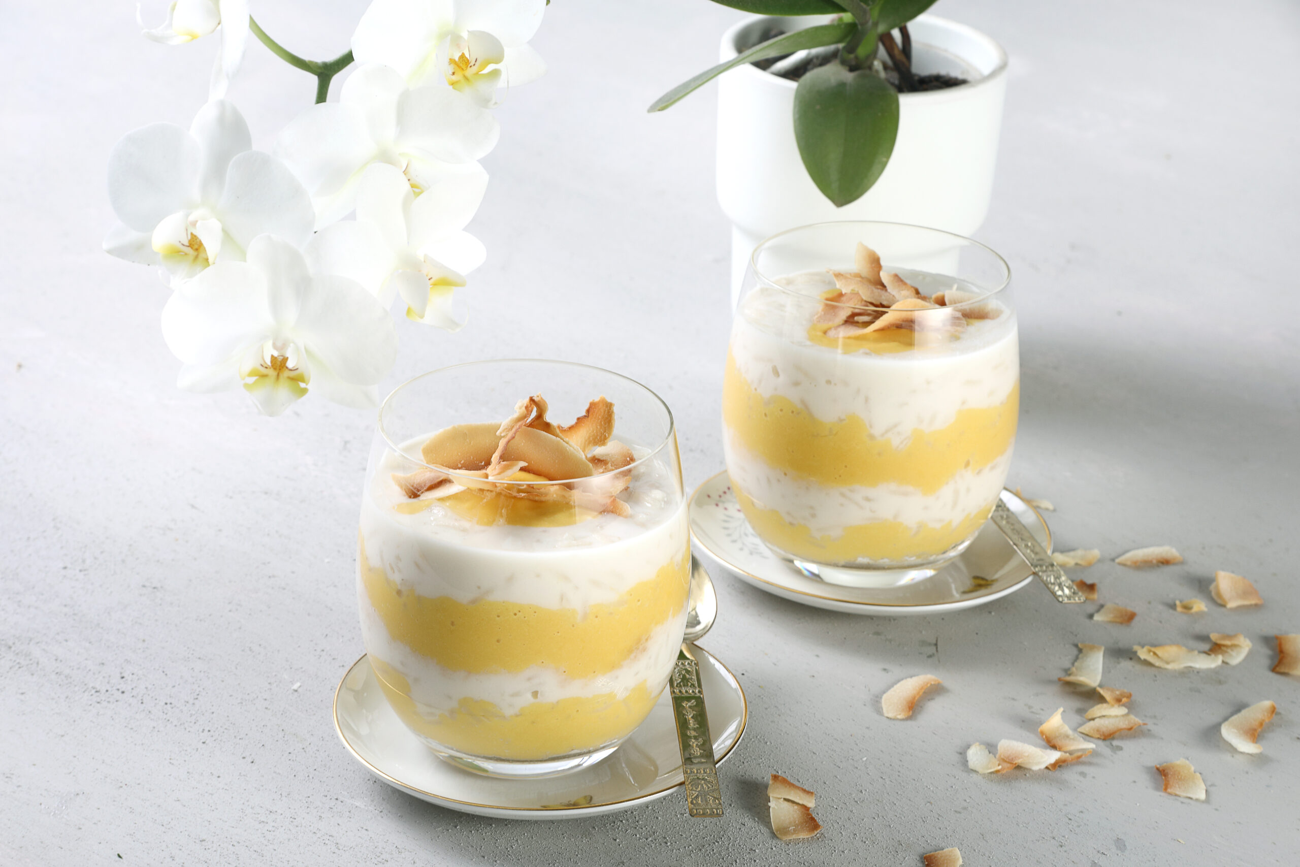 Coconut Mango Rice Parfait - Golden Delight